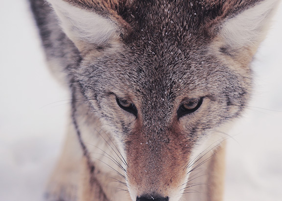 All posts | IEEE Student Branch BPHC